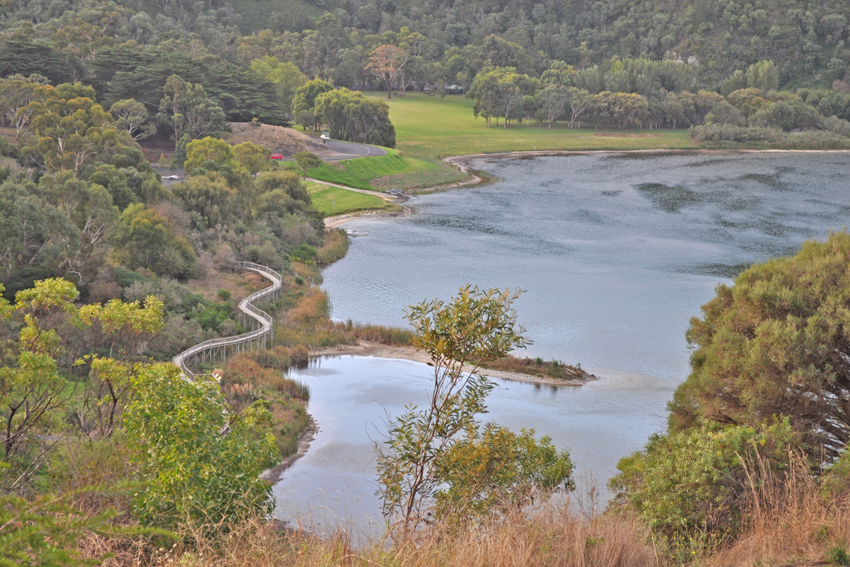 Max Harris - A Window at Night - The Adelaide Review