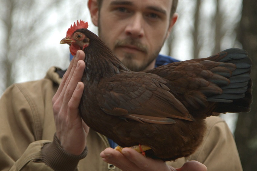 Film Review: Chicken People - The Adelaide Review