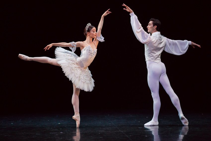 An Arena Spectacular with a Difference - The Adelaide Review An Arena Spectacular with a Difference - The Adelaide Review