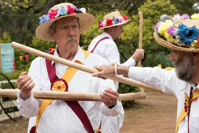 Film Review: Three Summers - The Adelaide Review