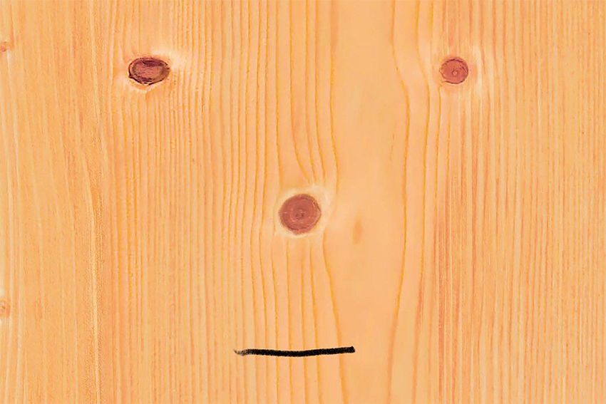 Book Review: Calypso - The Adelaide Review