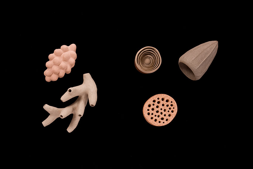 Angela Valamanesh: A curious life in art - The Adelaide Review