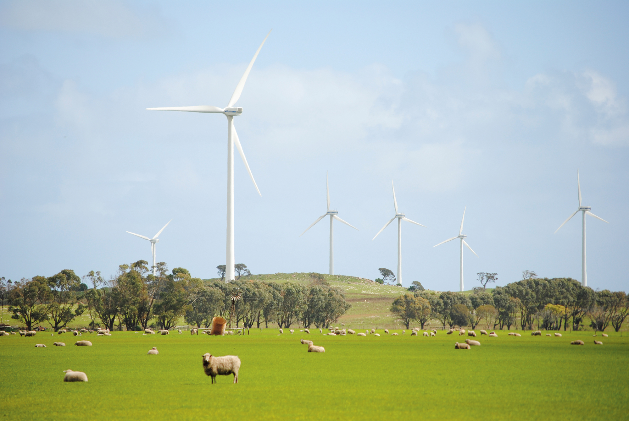 Good Country: Magnificent Millicent - The Adelaide Review