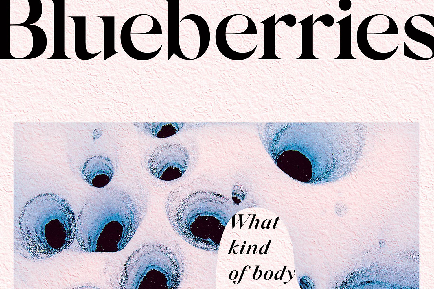 Book Review: Blueberries - The Adelaide Review