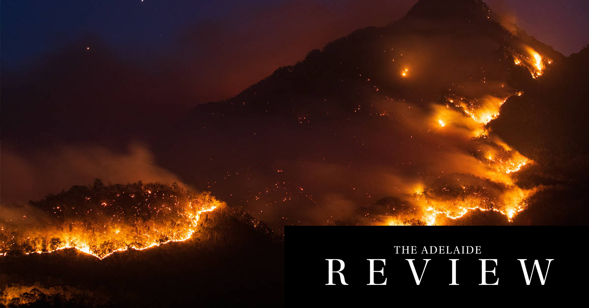 Fire in the dark wins Nature Photographer of the Year prize - The ...